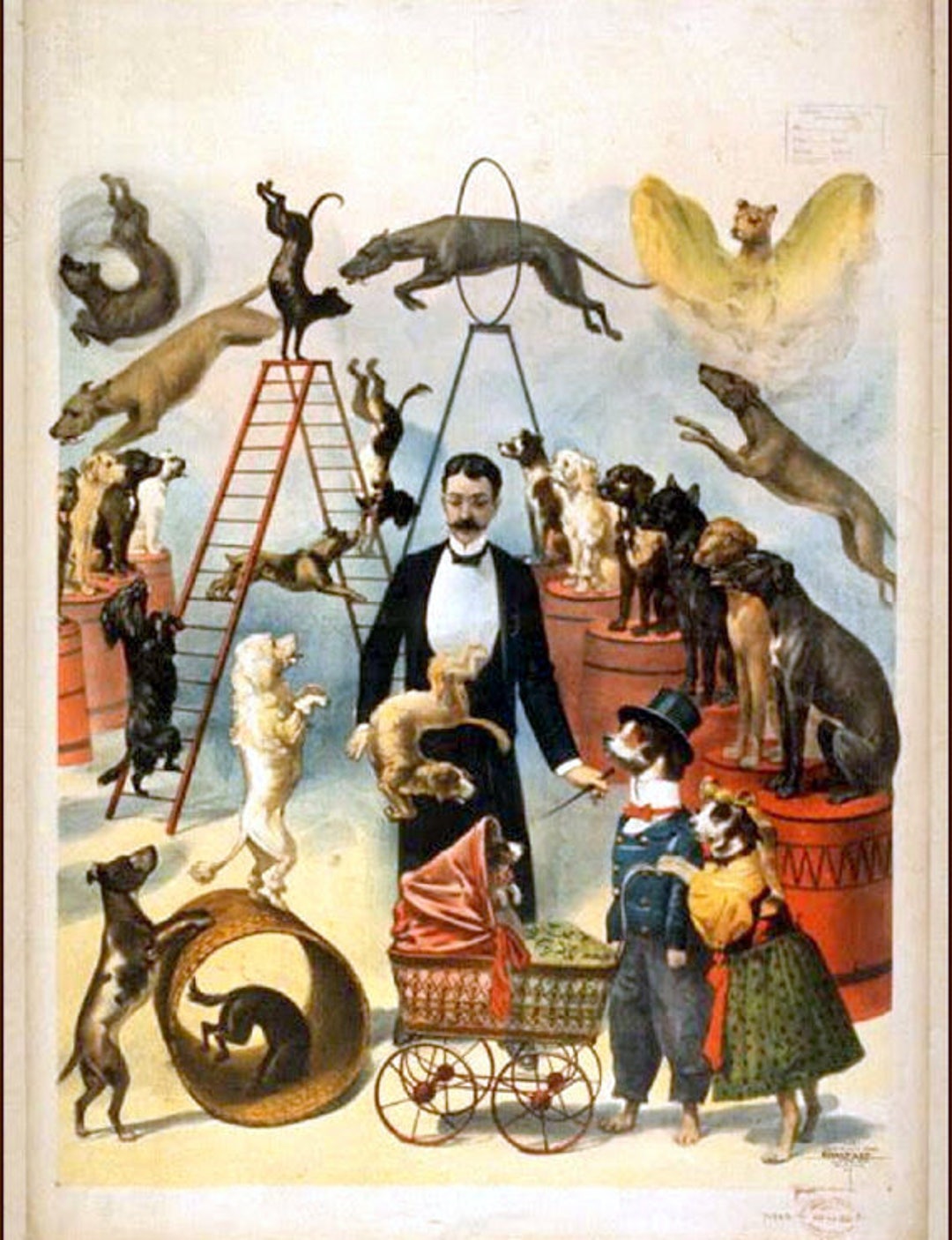 Vintage Circus, 1800's Dog Show, Circus Animal Acts, Dog Tricks ...