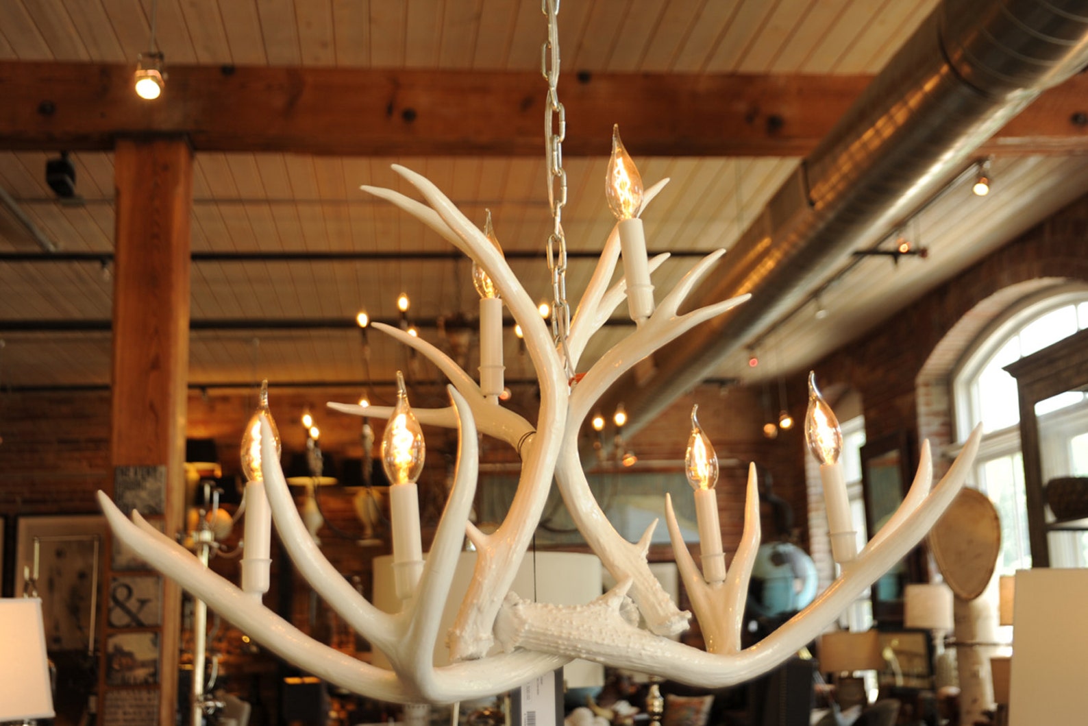 White Real Antler Chandelier, Modern, Mule Deer, High Gloss, Edison ...