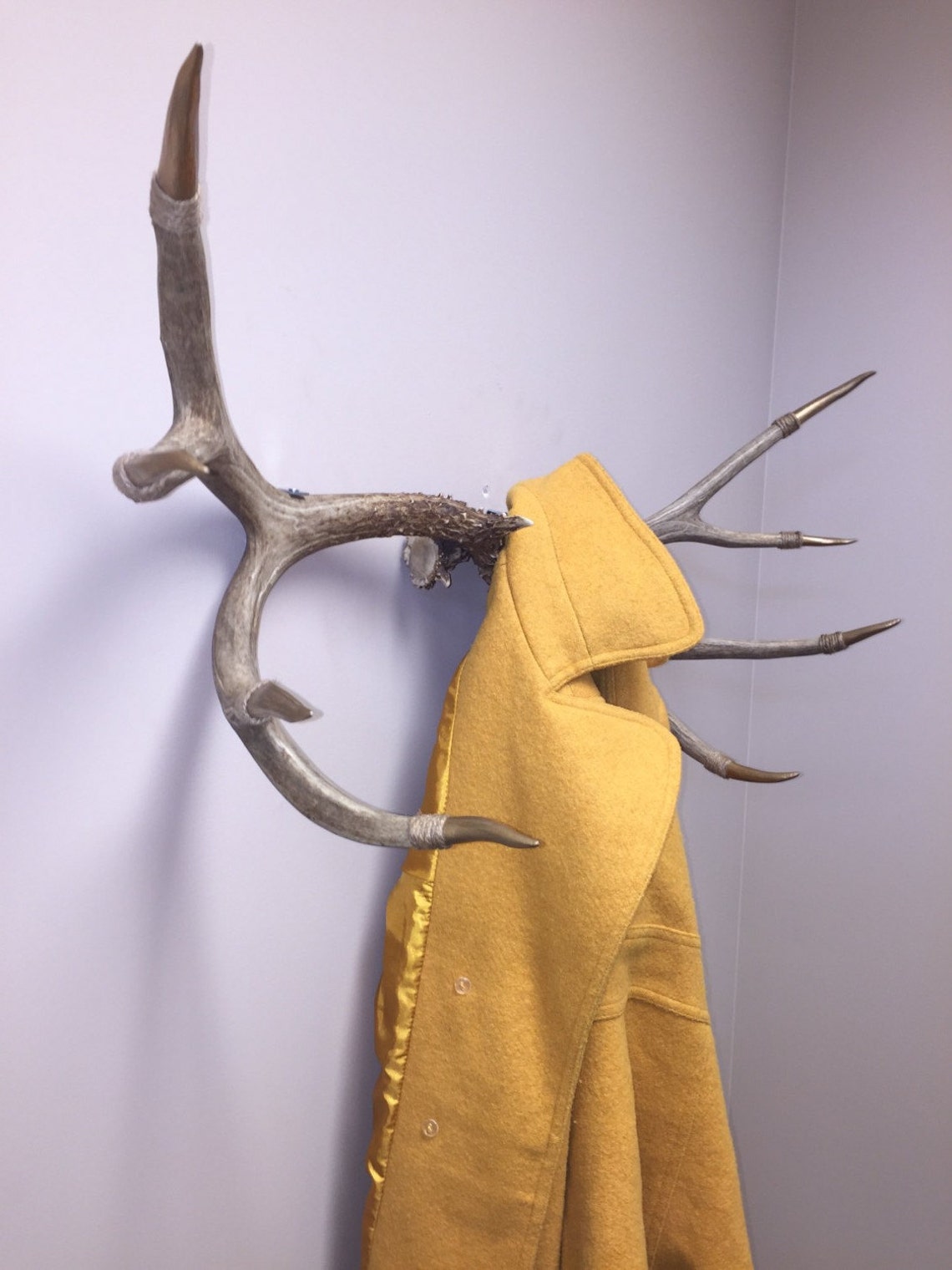 Antler Coat Rack - Etsy Israel