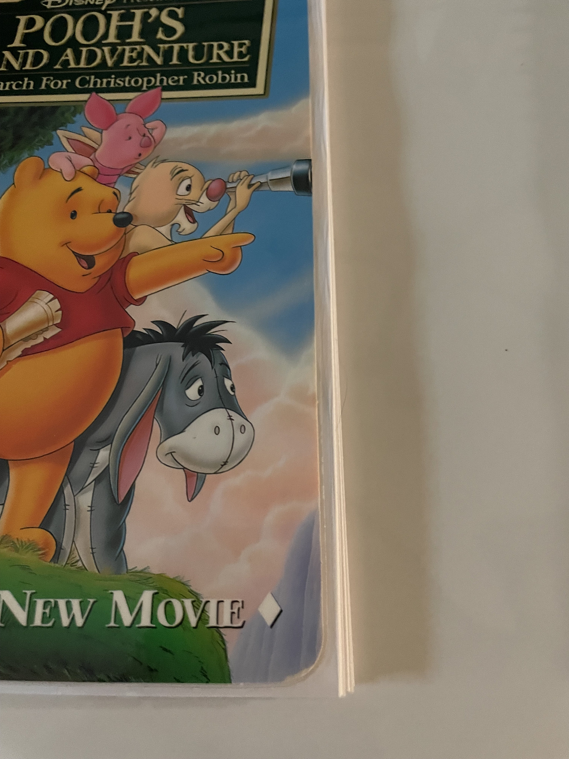 Disneys Poohs Grand Adventure the Search for Christopher Robin Animated ...