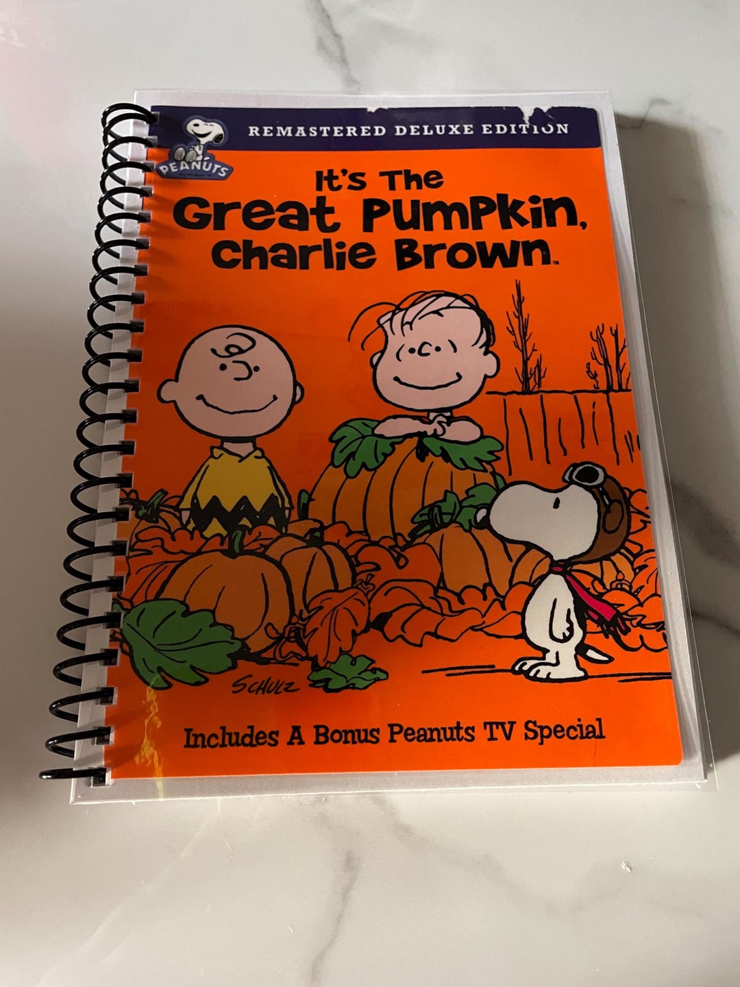 It’s the Great Pumpkin Charlie Brown Movie DVD Upcycled Spiral Bound ...