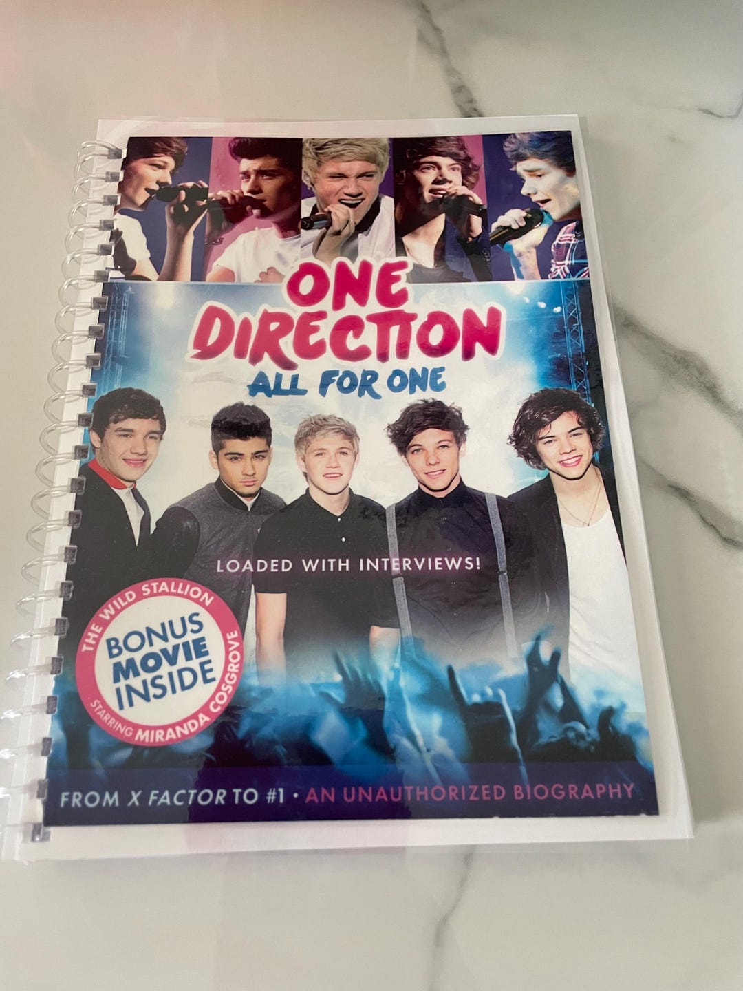 Unofficial Biography One Direction All for One Movie DVD Upcycled ...