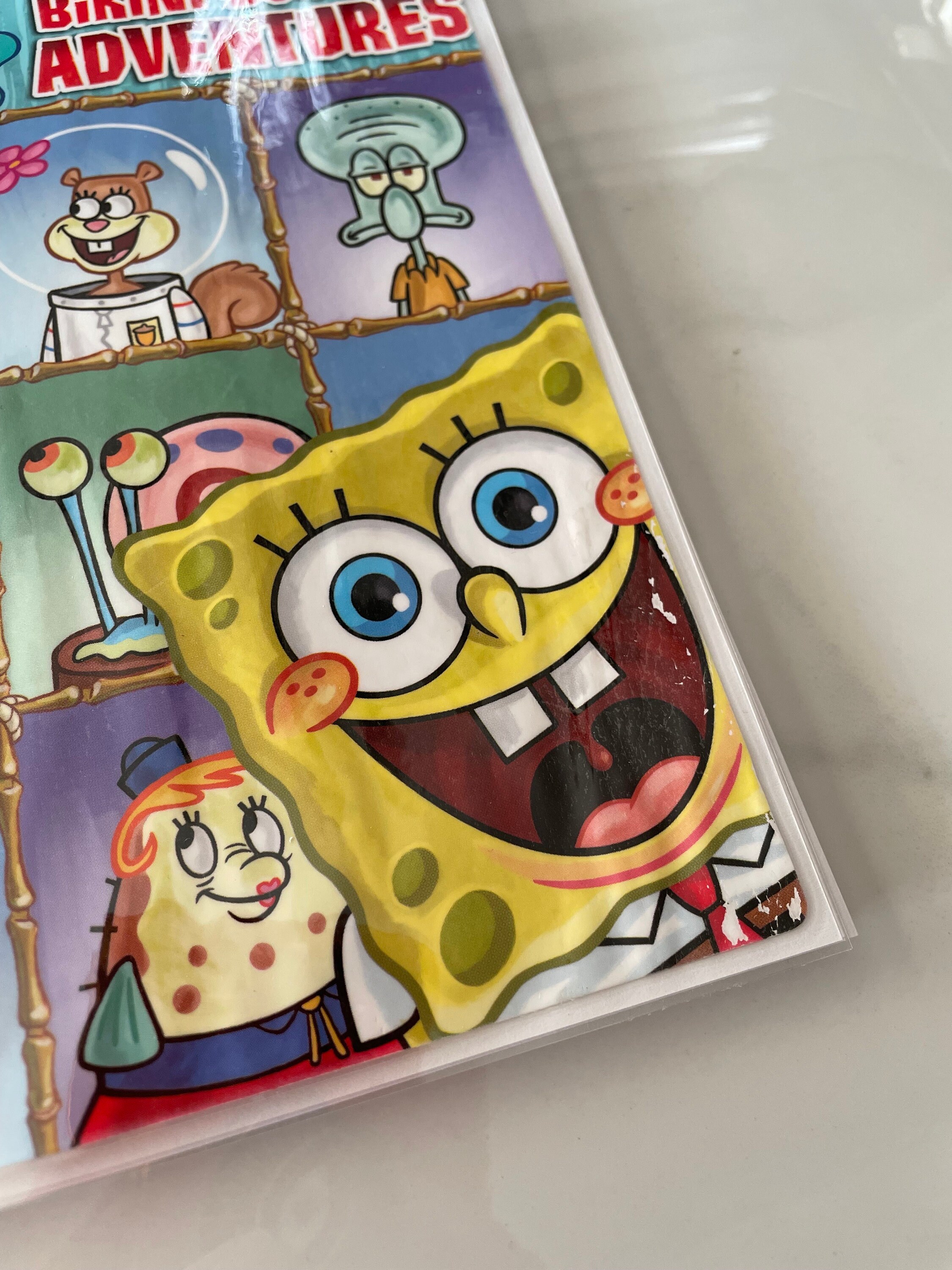 Spongebob Squarepants “bikini Bottom Adventures” TV Show DVD Upcycled ...