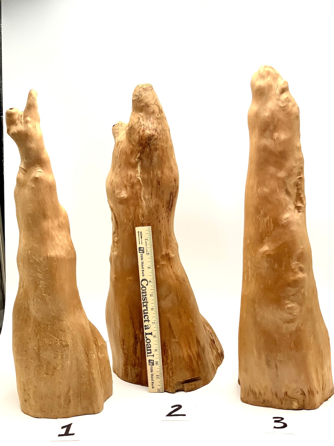 Vintage Cypress Knee Display Authentic Wood Tree Sculpture - Etsy