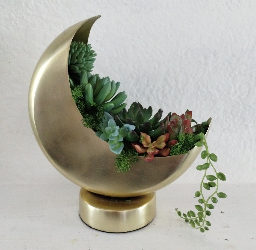 Brass Moon Succulent Arrangement Faux Succulents Artificial - Etsy