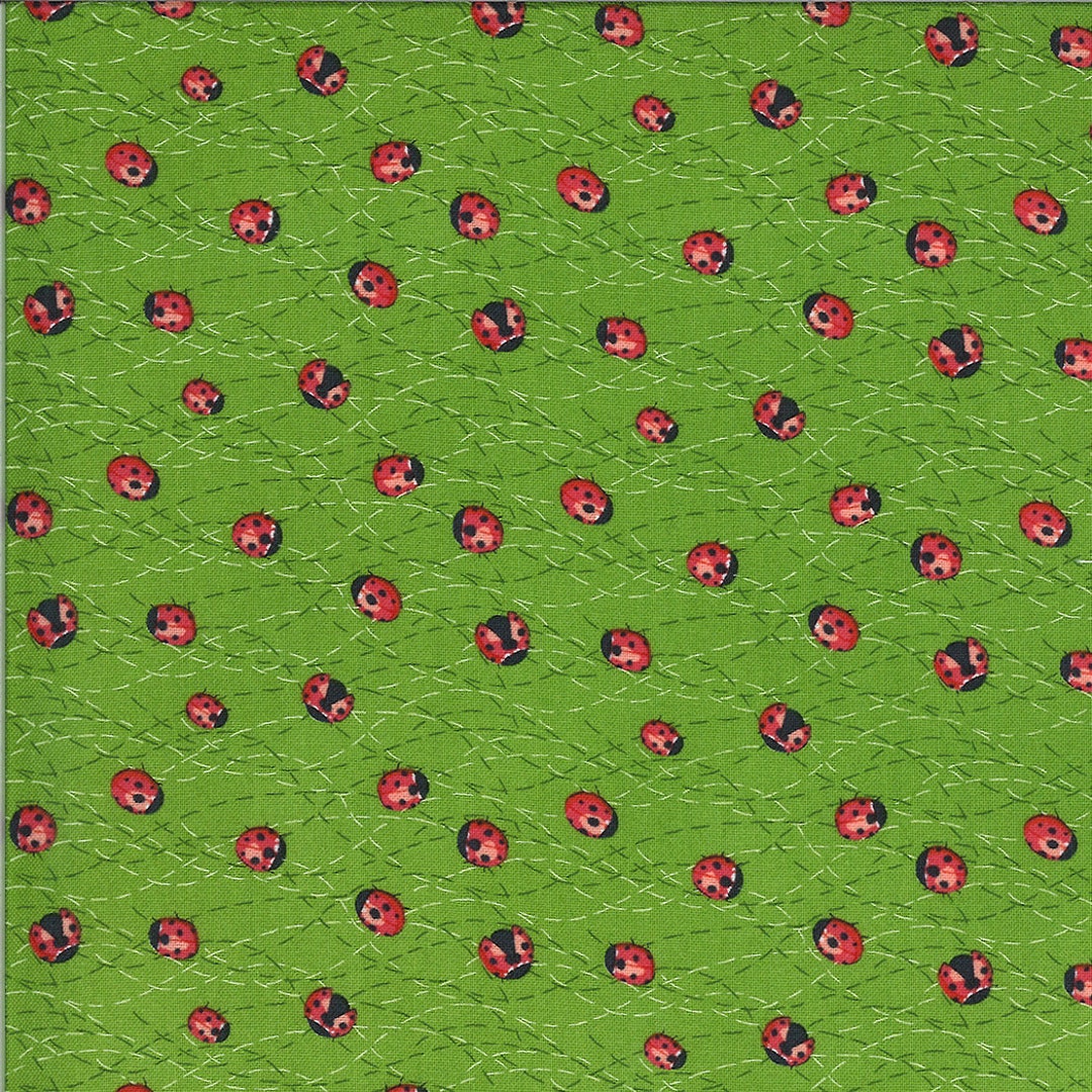 SALE!! 1/2 Yard - Solana - Ladybug - Sprout - Robin Pickens - Moda ...
