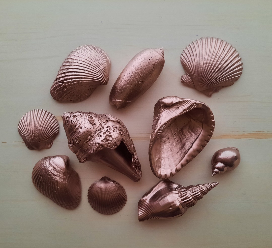 Metallic Shiny Seashells Gold Copper Silver Rose Gold Choose Color - Etsy