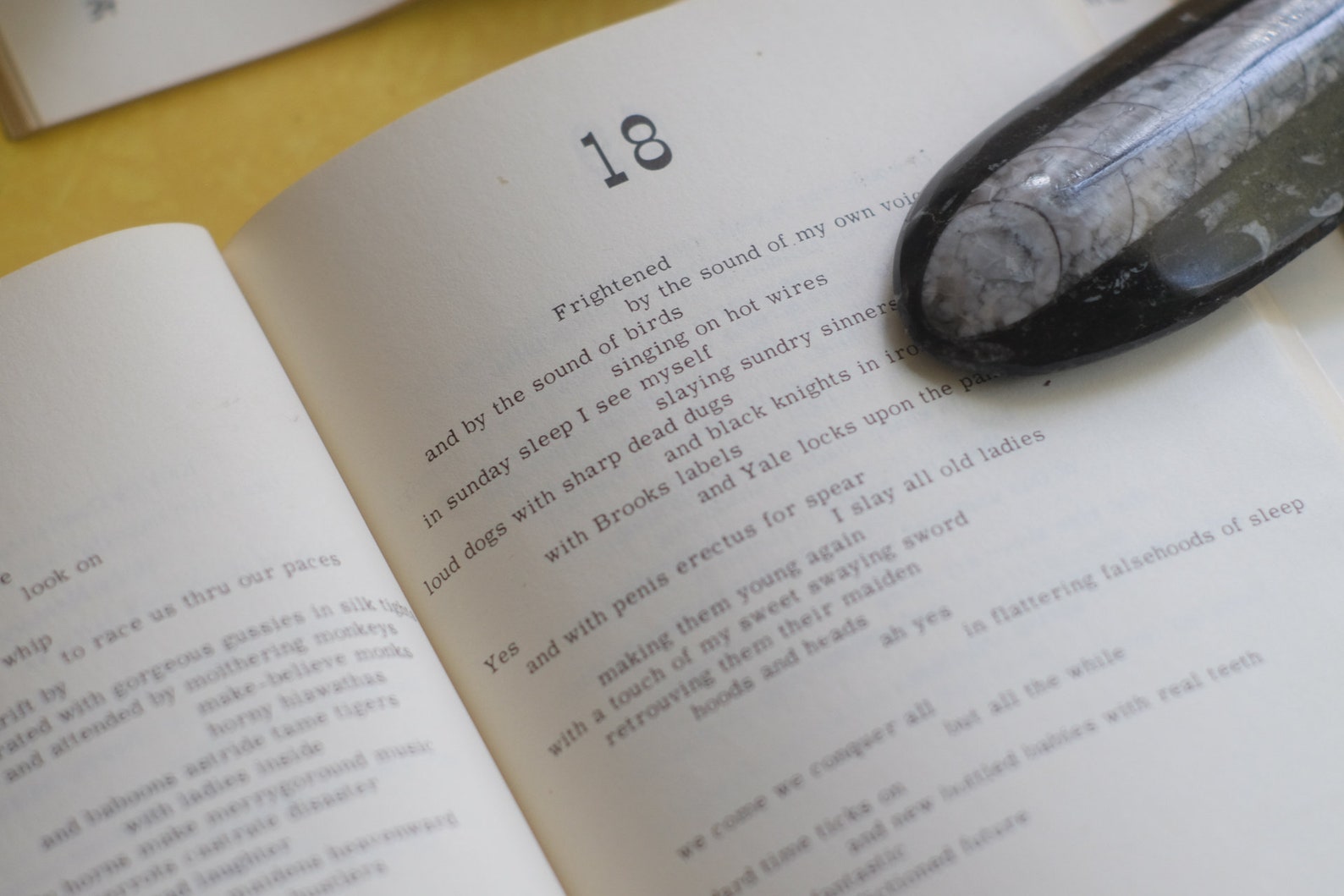 Three 1960s Lawrence Ferlinghetti Books // Starting From Sanfrancisco ...