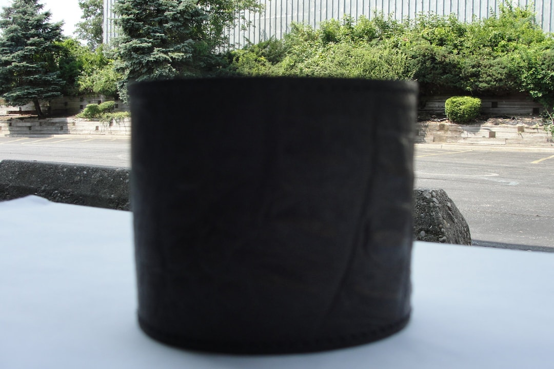 Handmade 2-1/2" Wide Leather Embossed Alligator Skin Soft Lined ...