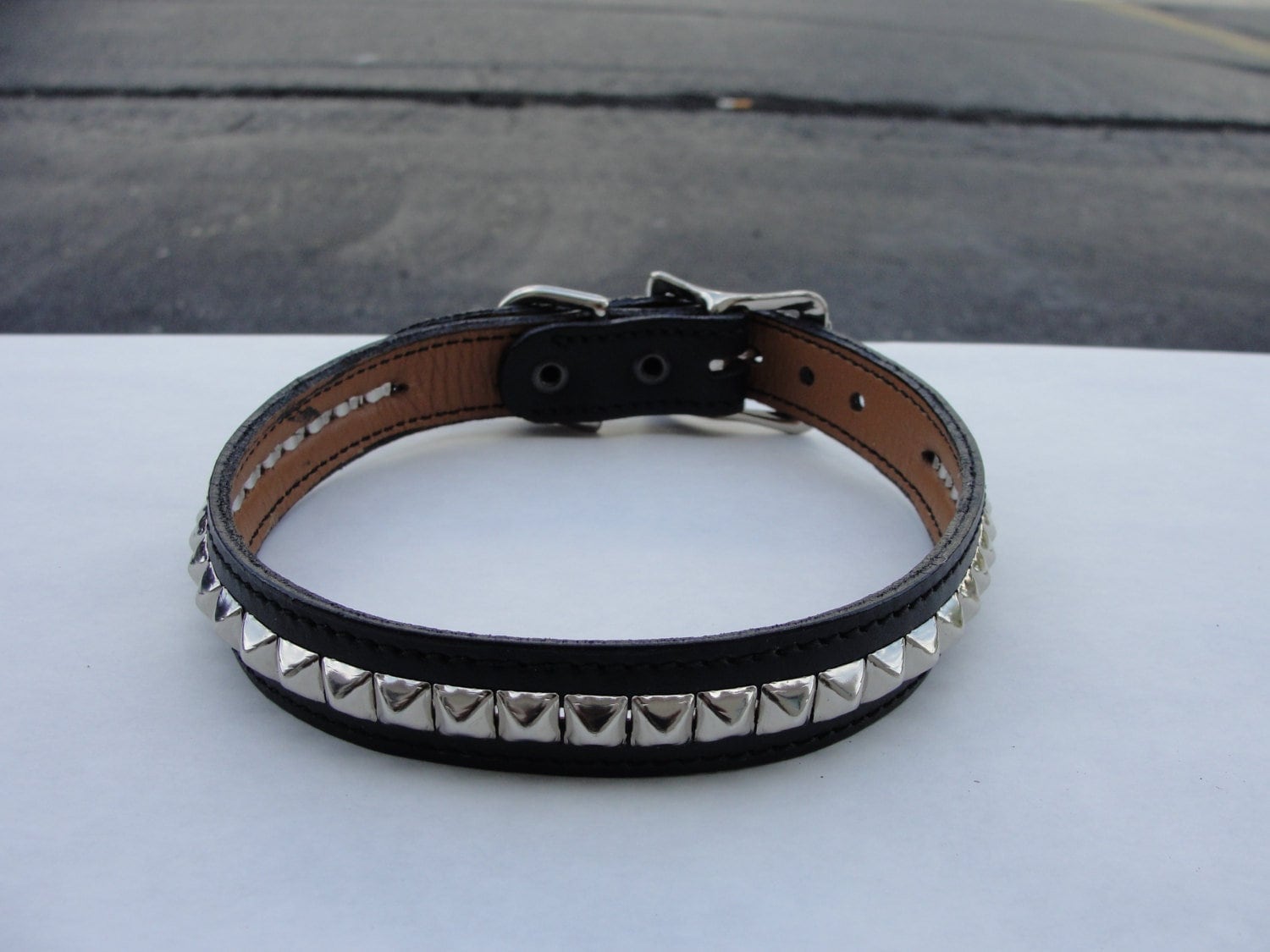 Human Wearing Dog Collar