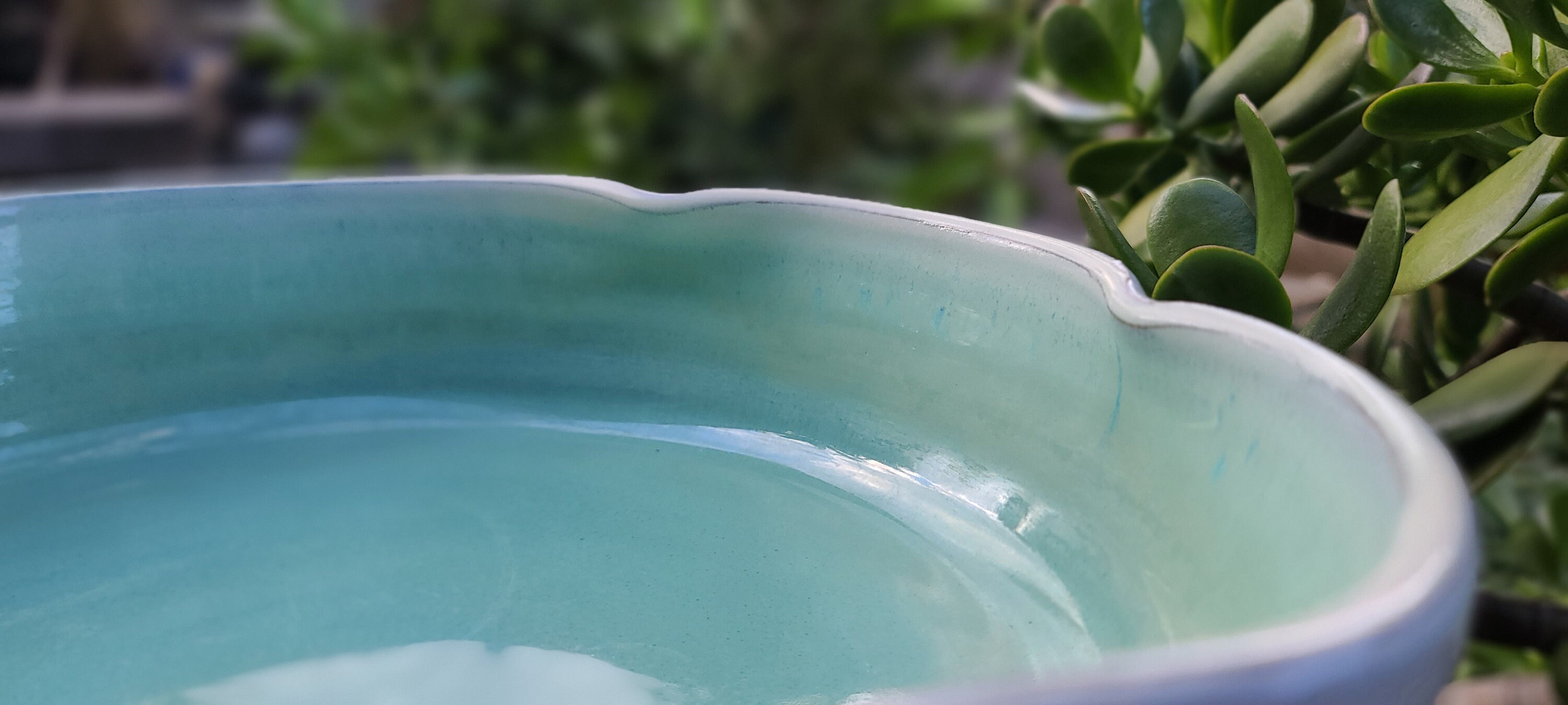 Japanese Suiban Ikebana - Etsy