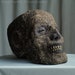 Realistic Human Skull Replica mummified Head Life Size - Etsy