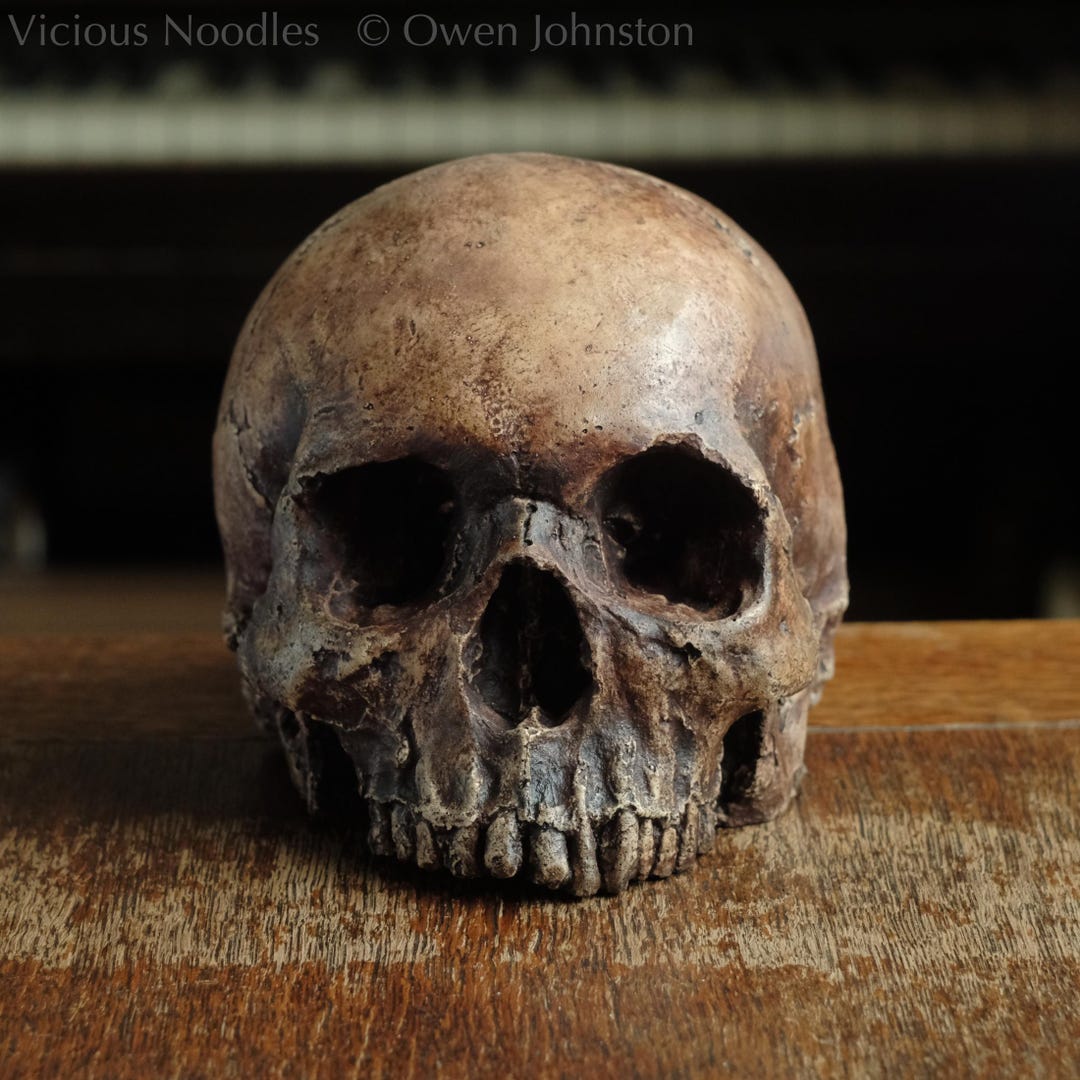 Human Skull Replica, Realistic Full Size Skull Made From Polymerised ...