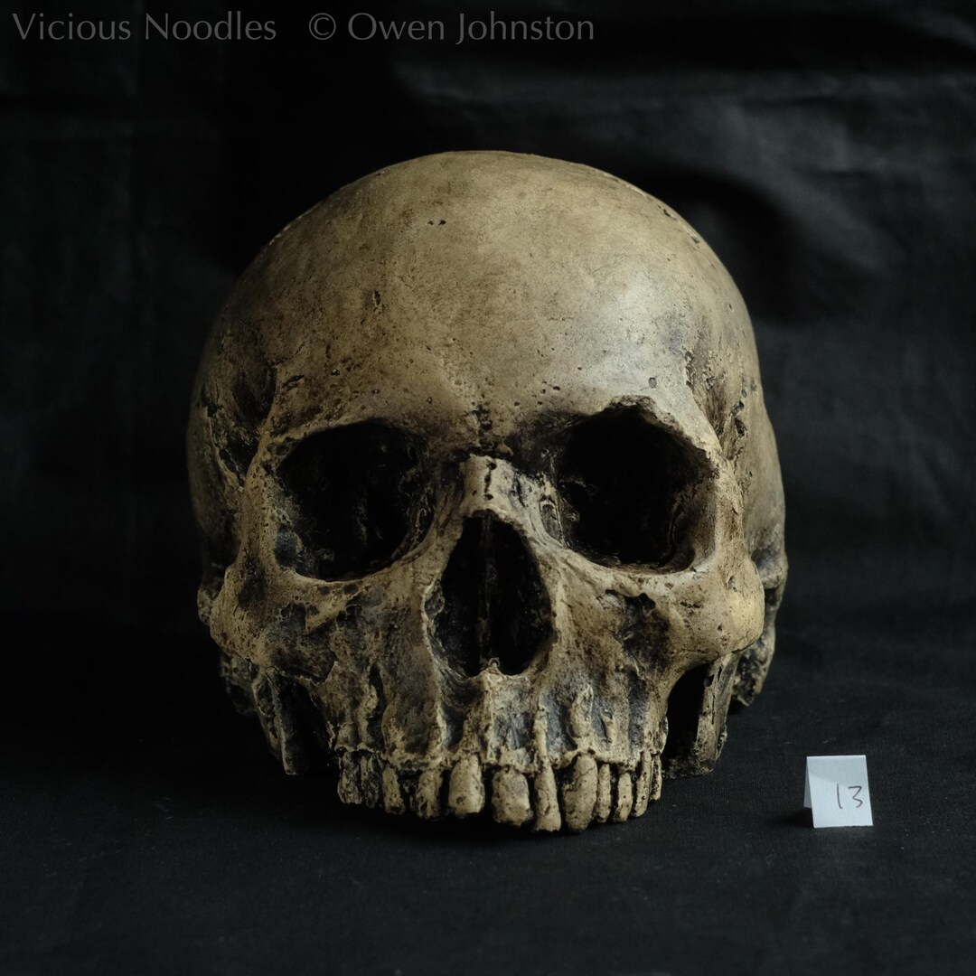 Human Skull Replica, Realistic Full Size Skull Made From Polymerised ...