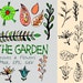Vector Clip Art Hand Drawn Flowers Leaves Garden Spring Color - Etsy