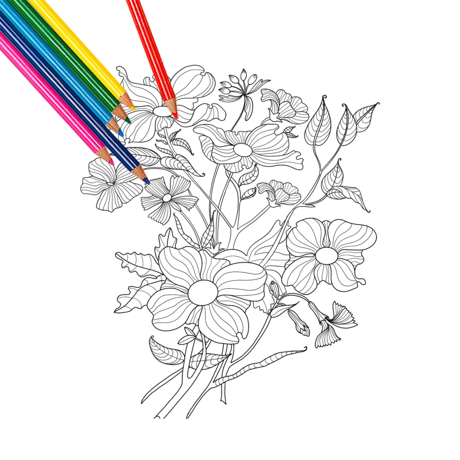 Flower Coloring Page Printable Art Hand Made Illustration - Etsy