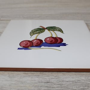 Cherry Terracotta Tile / Decorative Kitchen or Bathroom Accent / Back ...