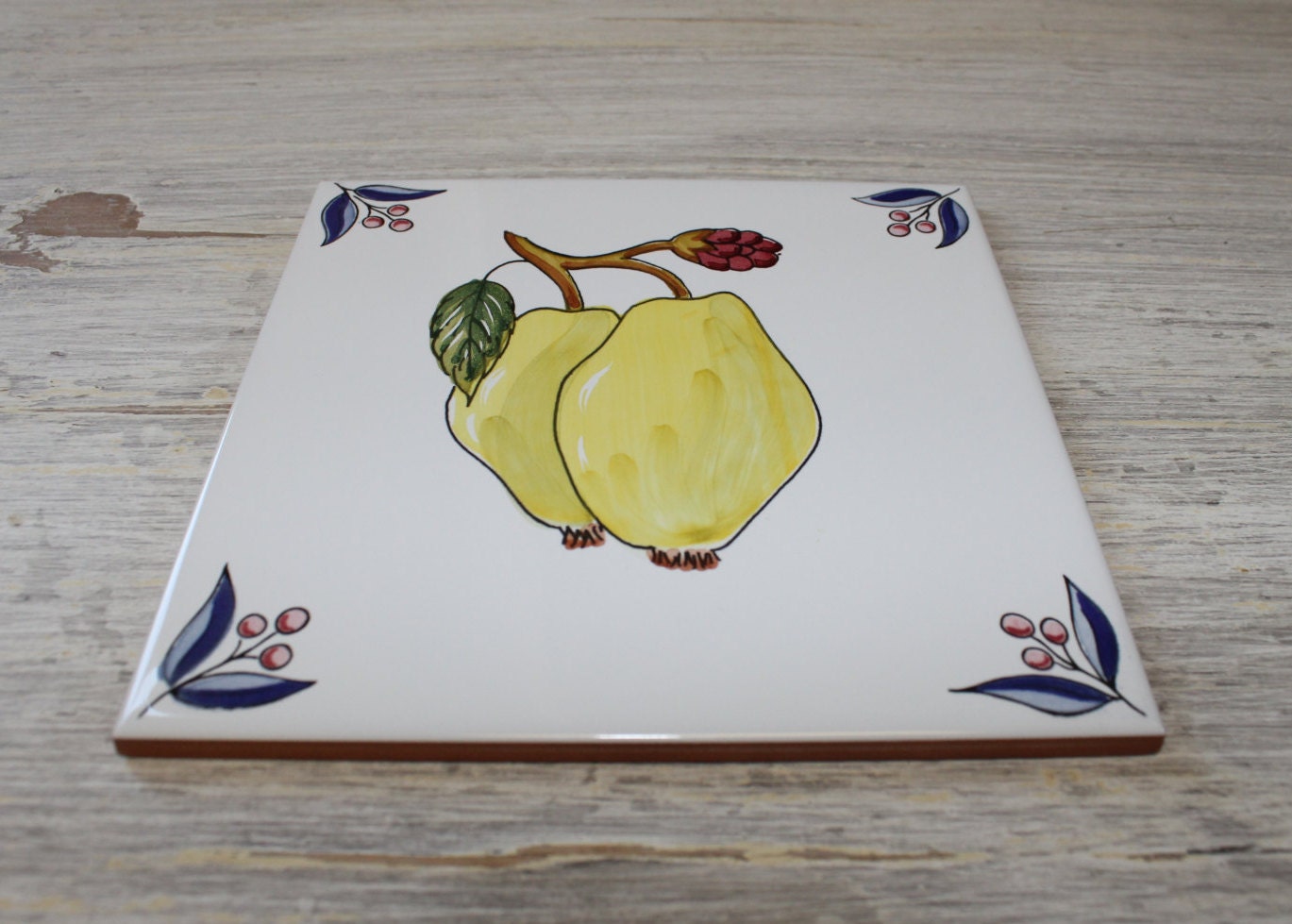 Lemon Terracotta Tile / Decorative Kitchen or Bathroom Accent / Back ...