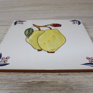 Lemon Terracotta Tile / Decorative Kitchen or Bathroom Accent / Back ...