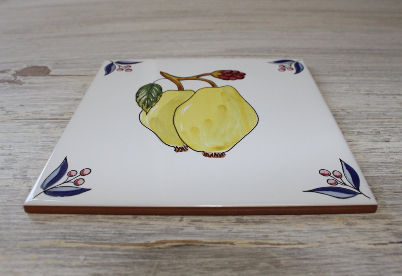 Lemon Terracotta Tile / Decorative Kitchen or Bathroom Accent / Back ...