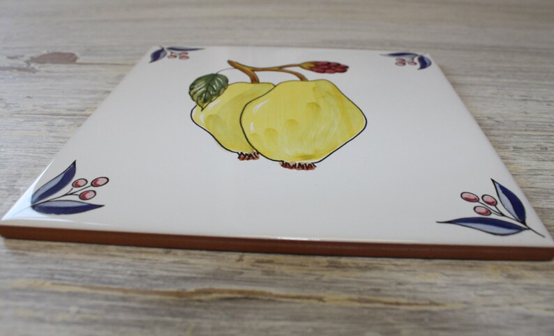 Lemon Terracotta Tile / Decorative Kitchen or Bathroom Accent / Back ...