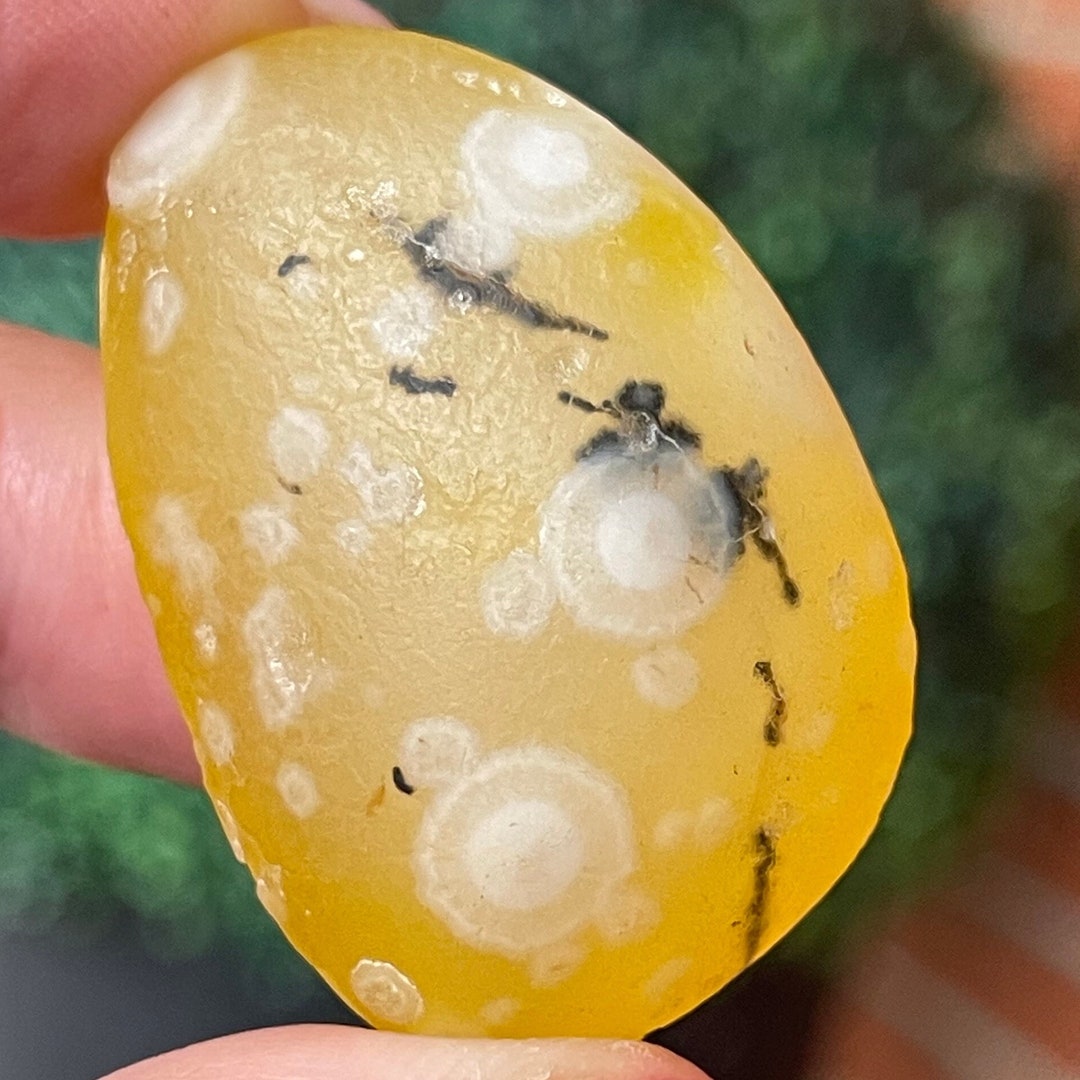 Gobi Eye Agate With Beautiful Orbicular Patterns High Quality AAA Grade ...