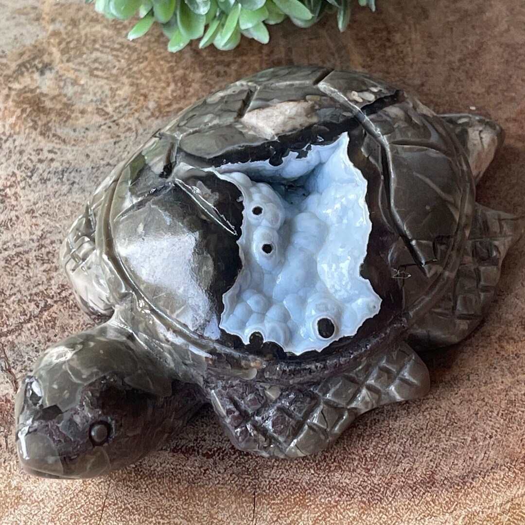 Volcano Agate Large Sea Turtle With Big Blue Druzy UV Reactive - Etsy