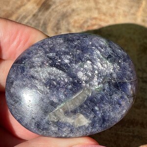 Iolite Palm With Pink Silver Flashes, AAA Iolite Rare Find Crystals ...