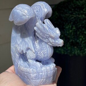 Blue Lace Agate HUGE Hand Carved Dragon Collector’s Edition, Natural ...