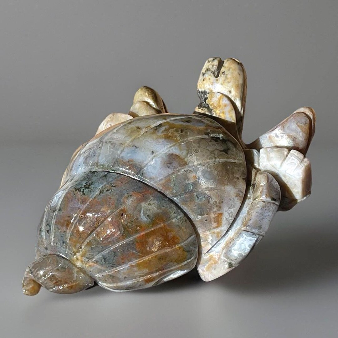 Orbicular Ocean Jasper Hermit Crab Sculpture, Collectors Madagascar ...