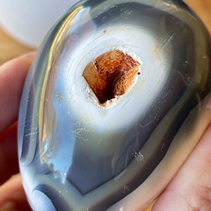 Orca Agate Egg Shield From Negativity Crystal to Balance Your Life ...