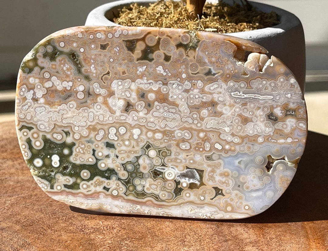 8th Vein Ocean Jasper Slab Orbicular Jelly Jasper Slice AAA Grade Rare ...