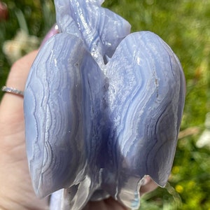 Blue Lace Agate HUGE Hand Carved Dragon Collector’s Edition, Natural ...