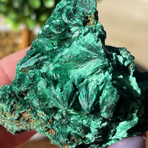 Malachite Specimen - Etsy
