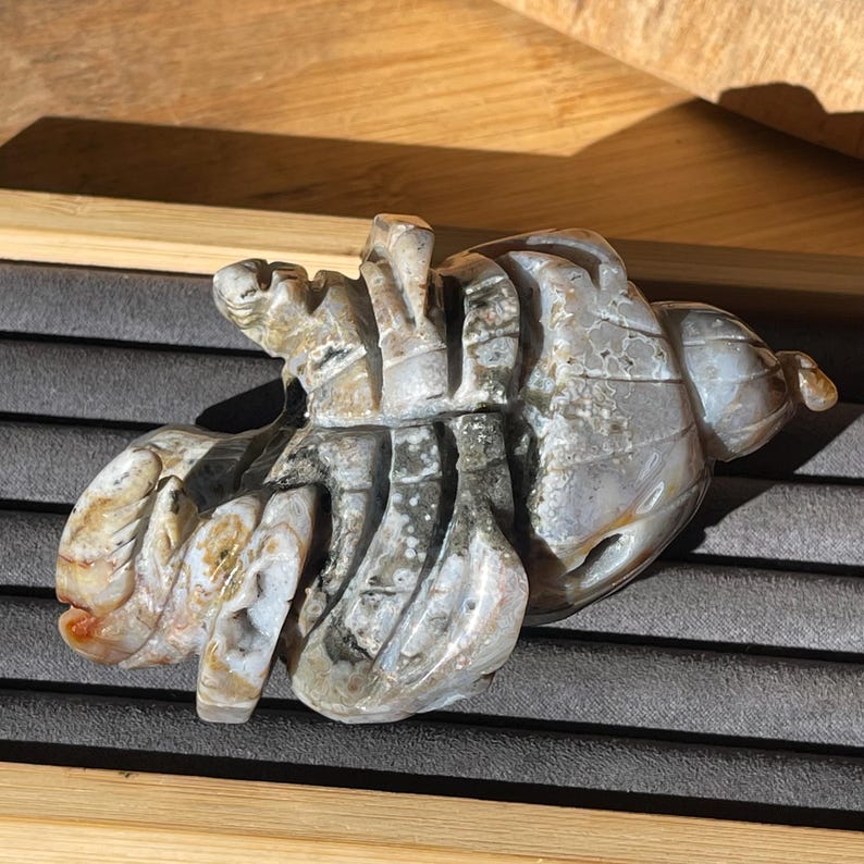 Orbicular Ocean Jasper Hermit Crab Sculpture, Collectors Madagascar ...