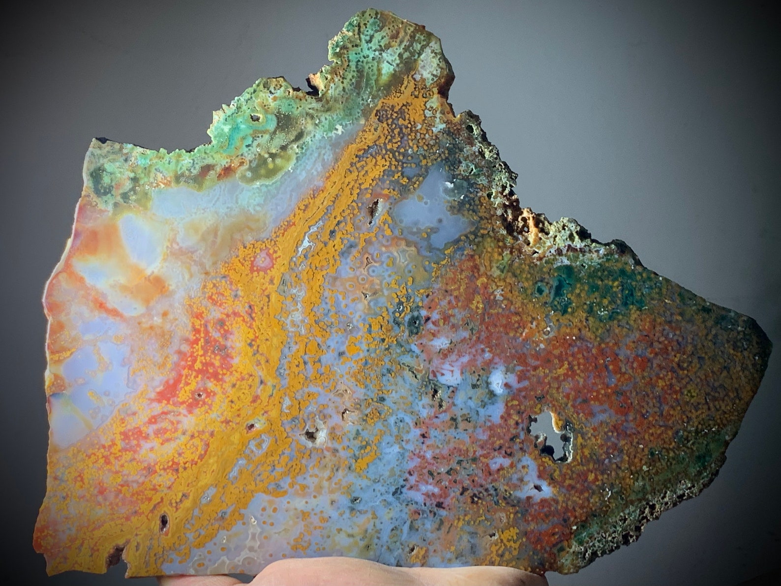 Translucent Orbicular Ocean Jasper Slab Slice 9” X 7” X 6mm - TRG - Etsy