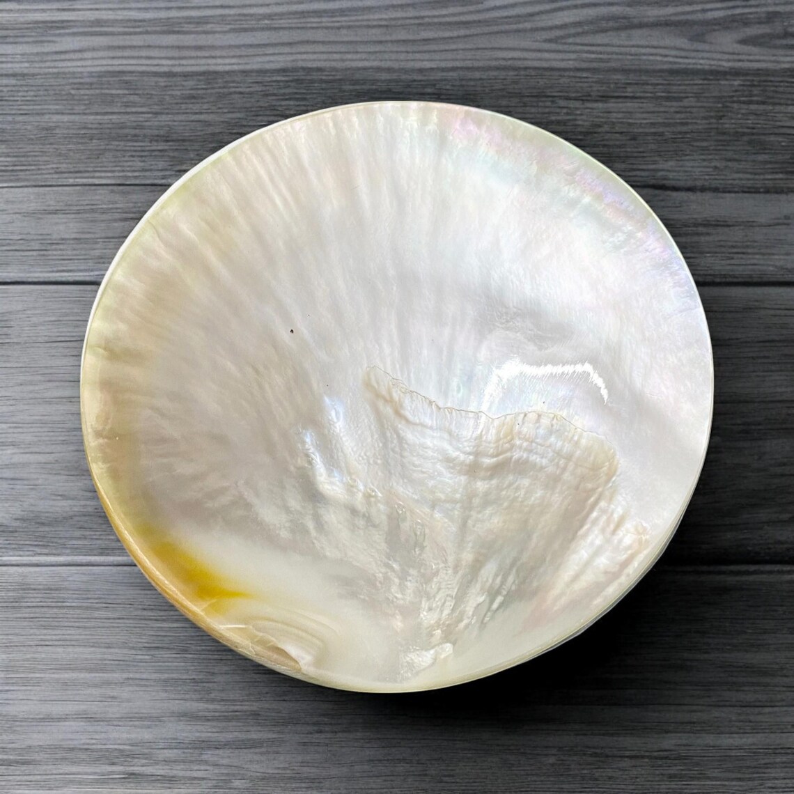 Mother of Pearl Round Plate Silver Trim, Simple Decorative Shell Dish ...