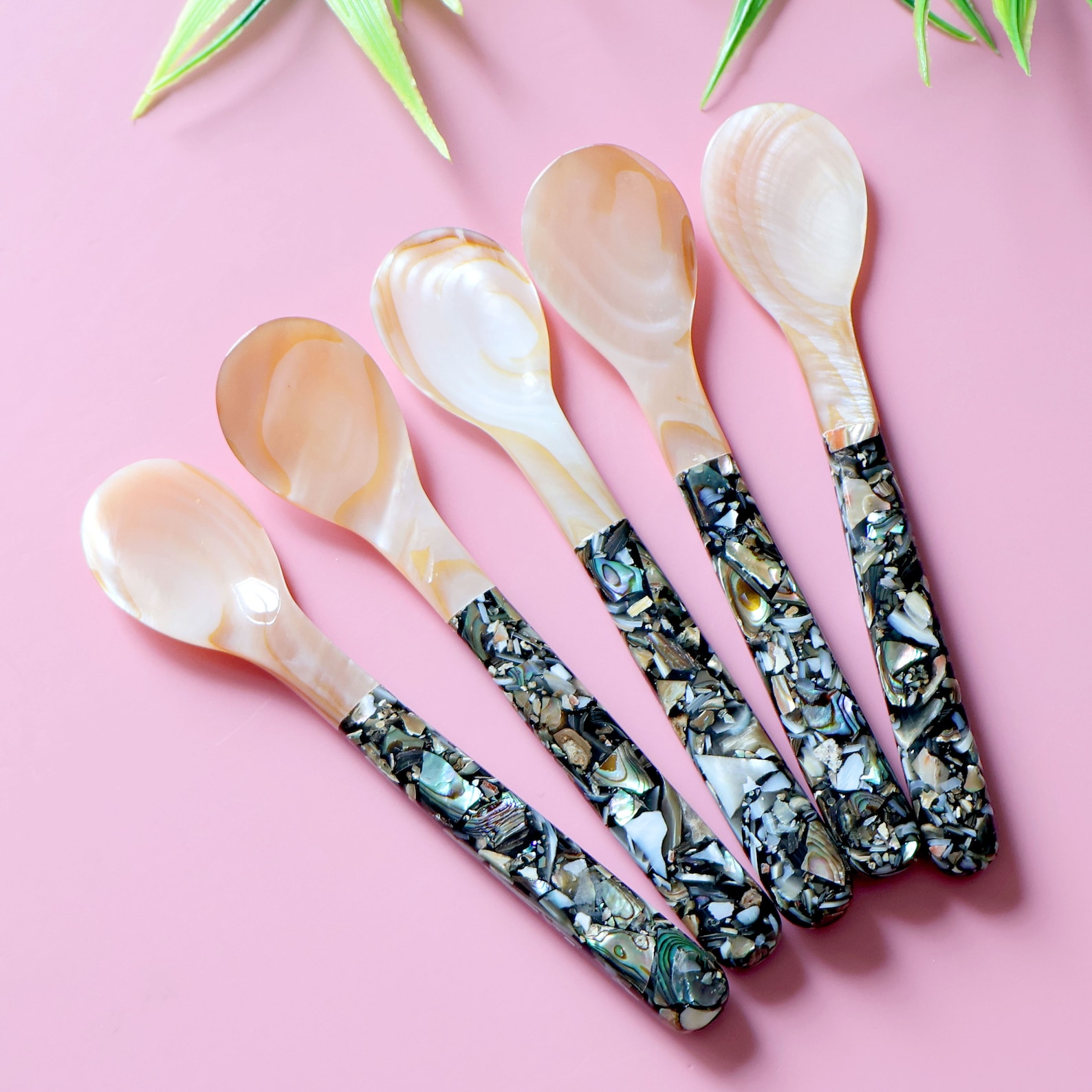 Mother of Pearl Caviar Spoon, Golden Oyster Caviar Spoon, Shell Utensil ...