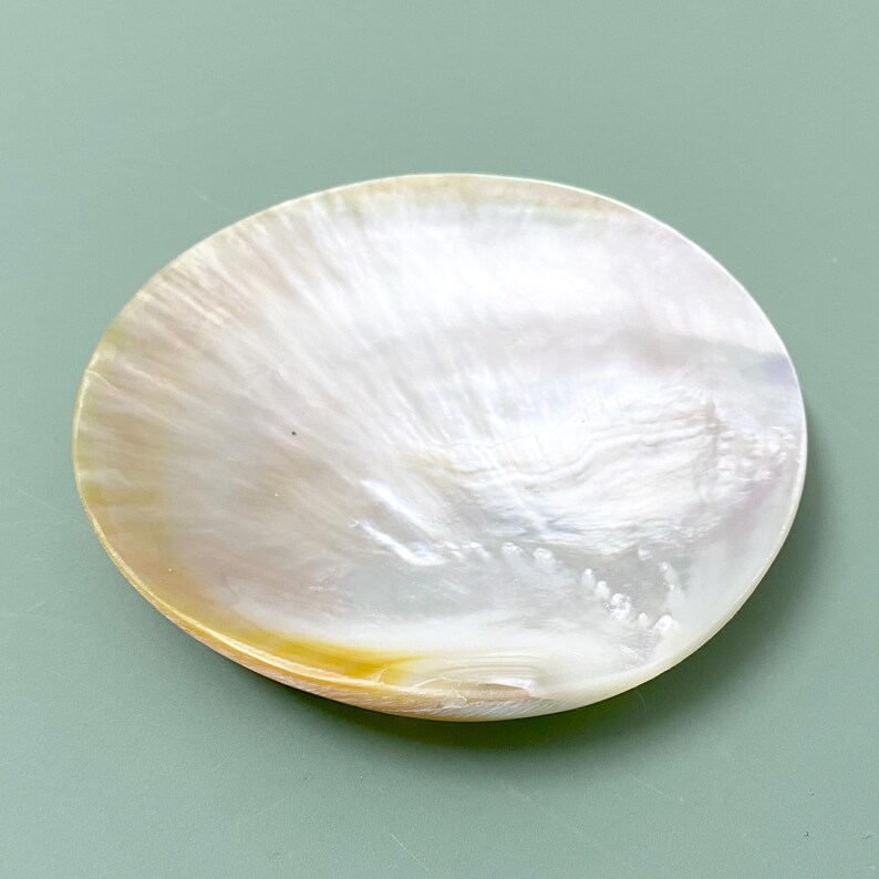 Mother of Pearl Round Plate Silver Trim, Simple Decorative Shell Dish ...