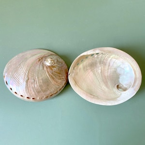Natural White Abalone Shells Crystal Displays, Large Abalone Shell Dish ...