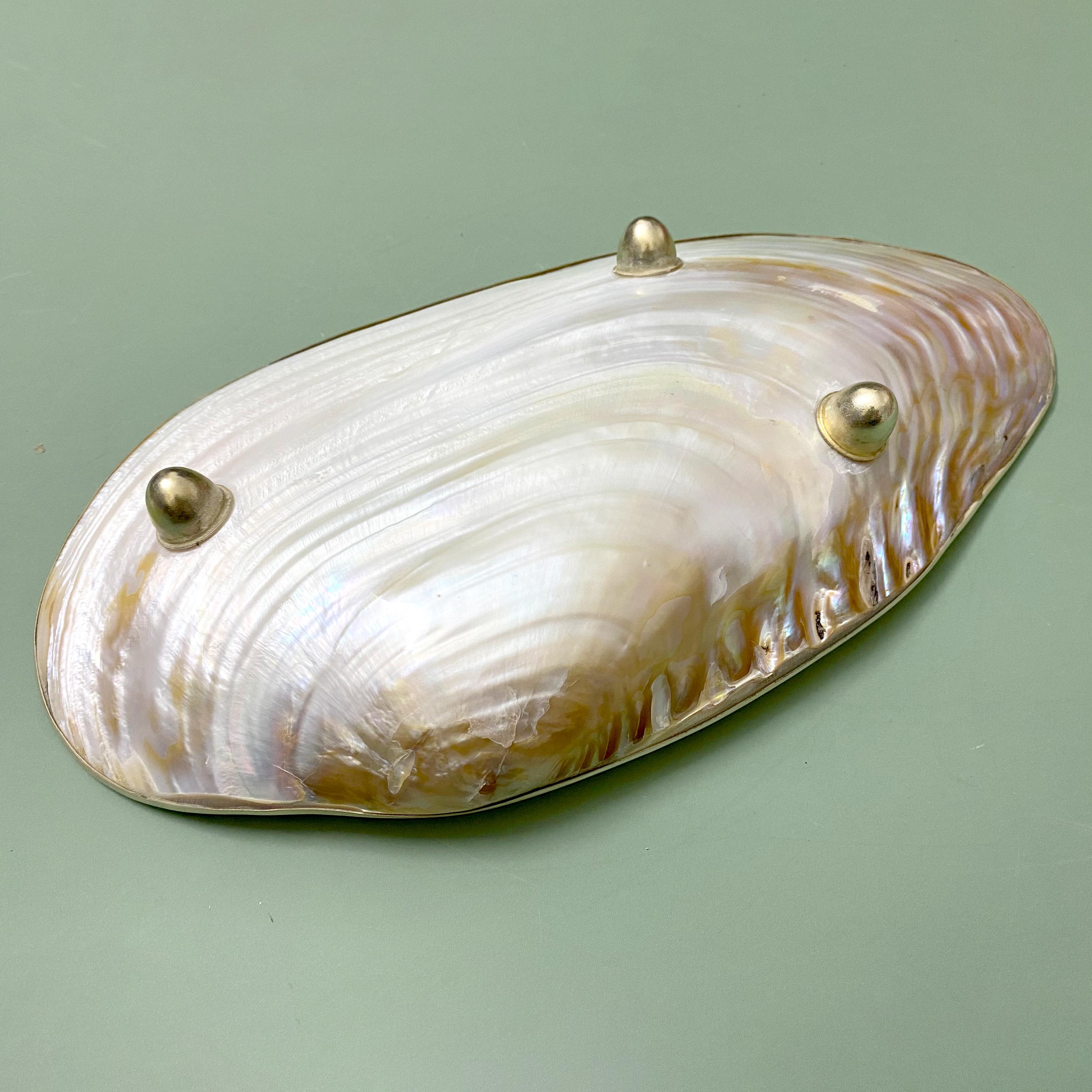 Decorative Giant Mother of Pearl Seashell Dish Peach Symbol of ...