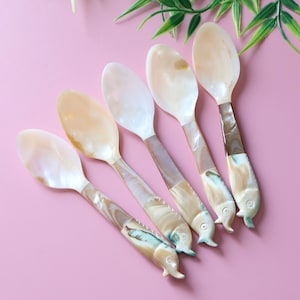 Seashell Spoon, Personalized Mother of Pearl Caviar Spoon, Shell ...