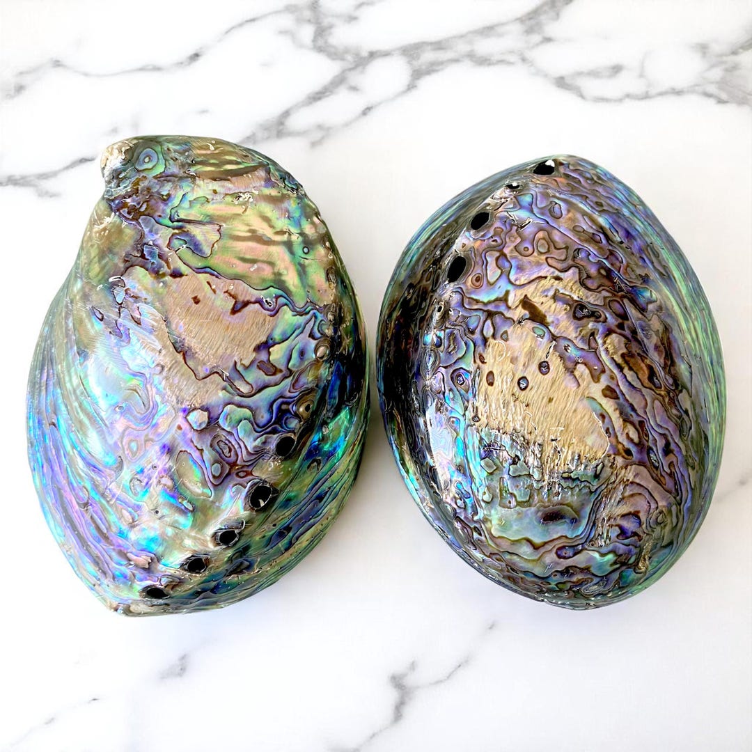 Natural Abalone Shells Crystal Displays, Large Aquamarine Blue Shell ...