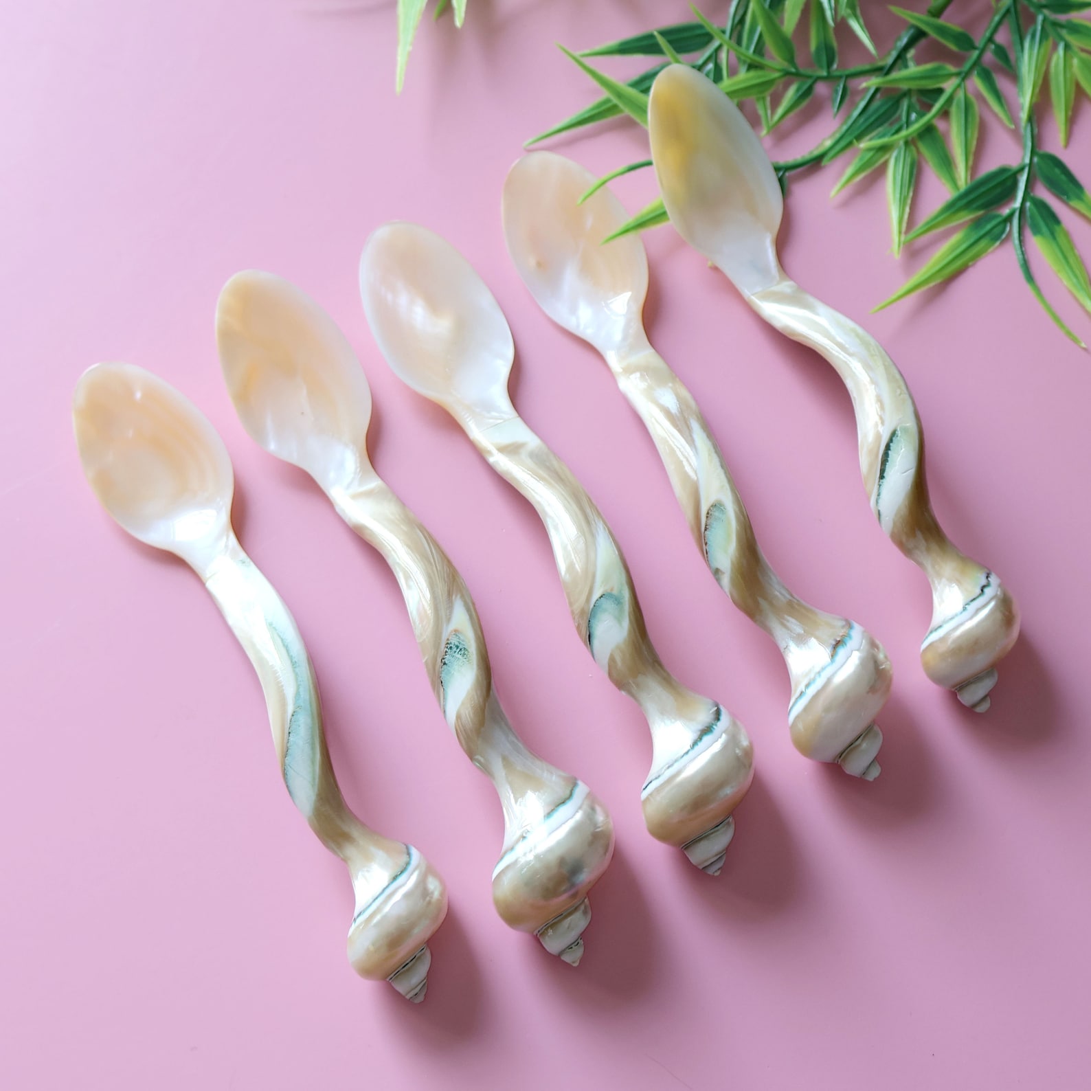 Mother of Pearl Caviar Spoon, Shell Utensil Oyster Caviar Spoon ...