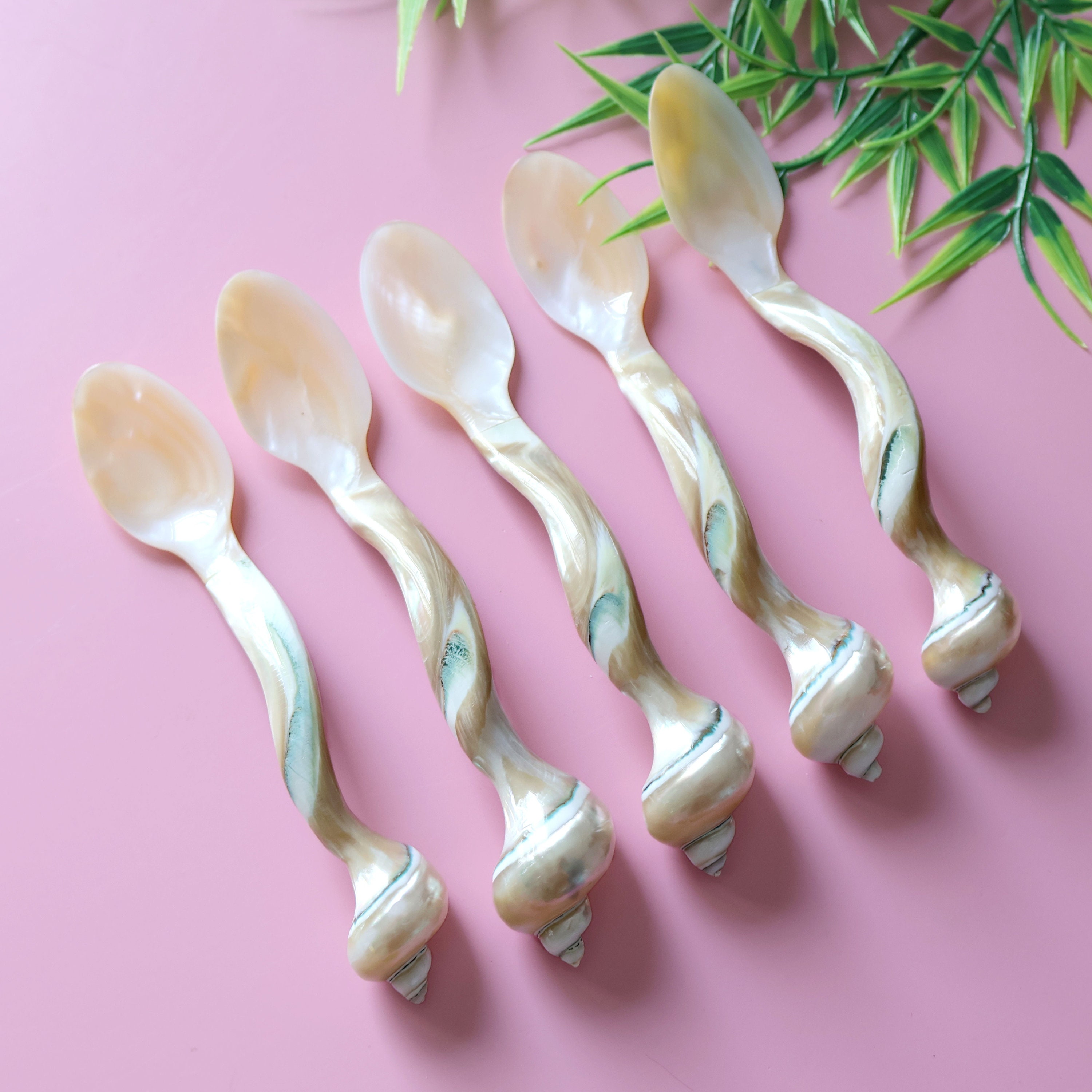 Mother of Pearl Caviar Spoon, Shell Utensil Oyster Caviar Spoon ...