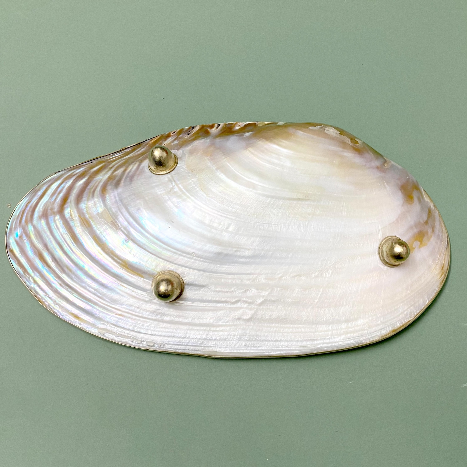 Decorative Giant Mother of Pearl Seashell Dish Peach Symbol of ...