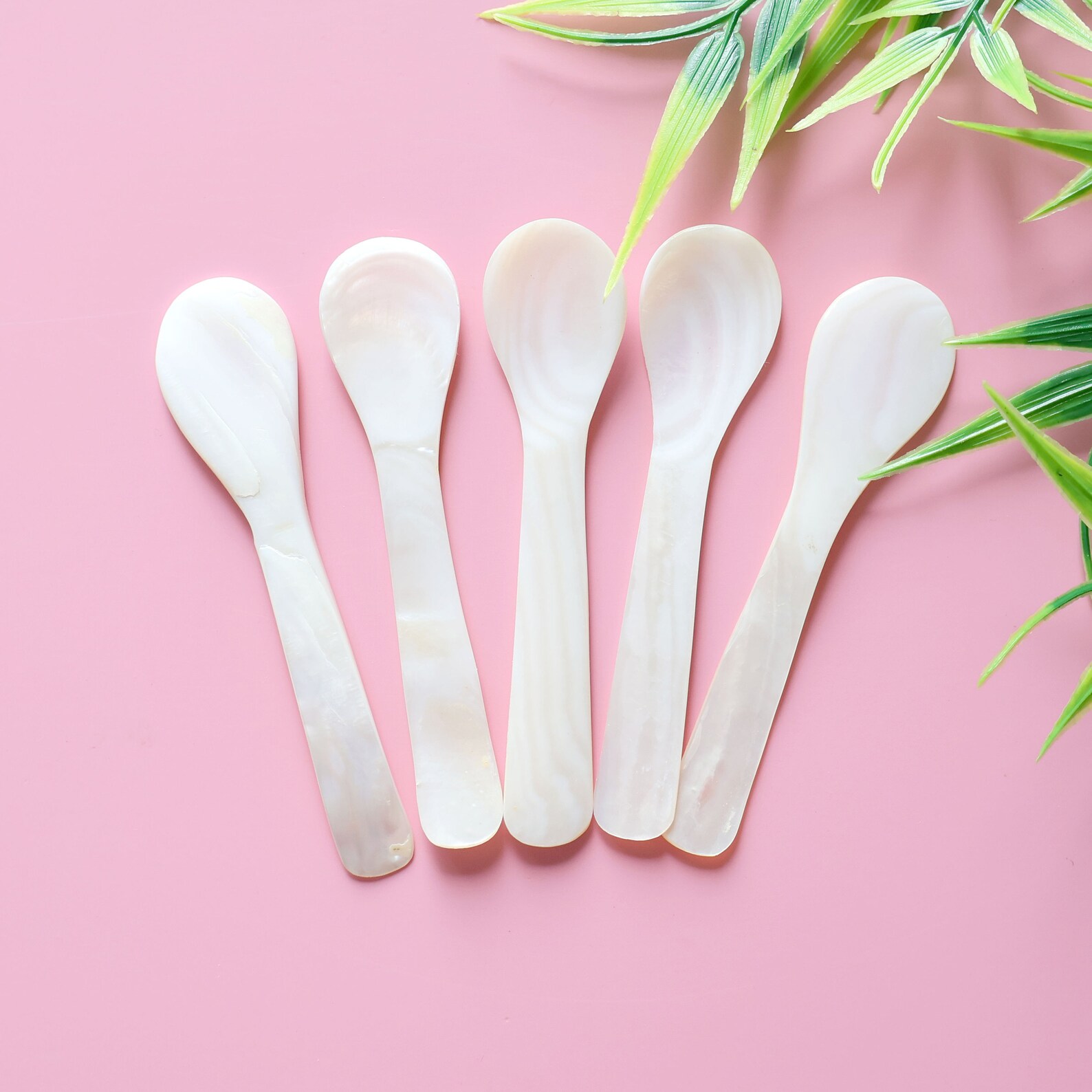 Shell Utensil Oyster Caviar Spoon, Mother of Pearl Caviar Spoon, Cute ...