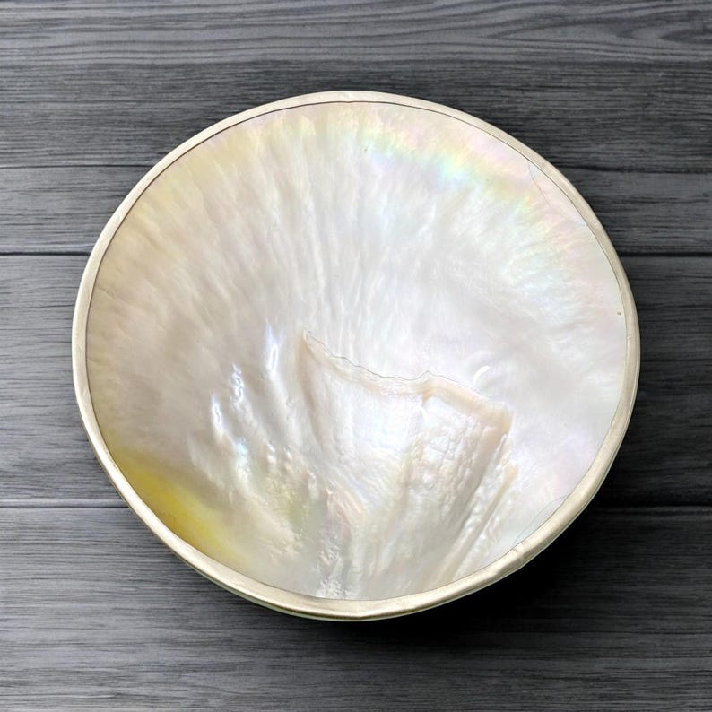 Mother of Pearl Round Plate Silver Trim, Simple Decorative Shell Dish ...