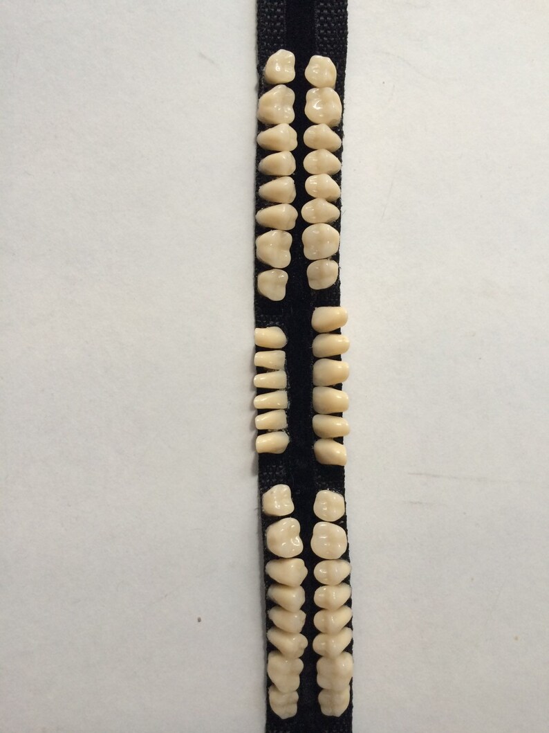 Teeth Dog Collar - Etsy
