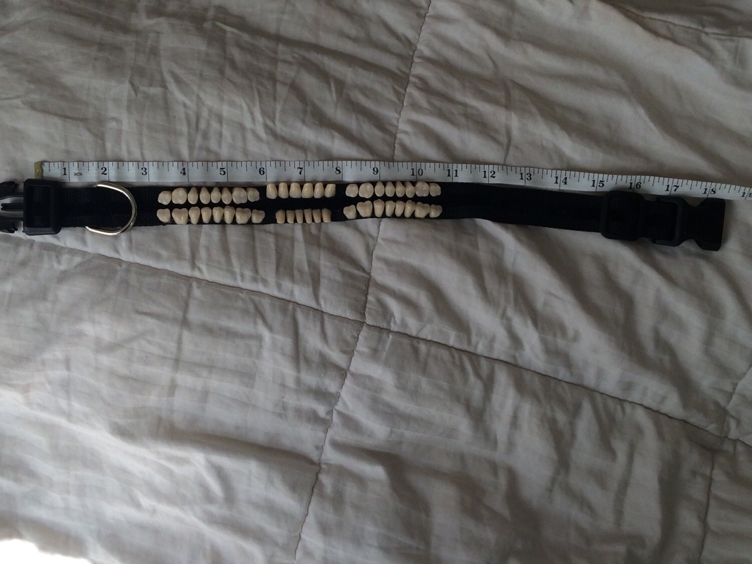 Teeth Dog Collar - Etsy